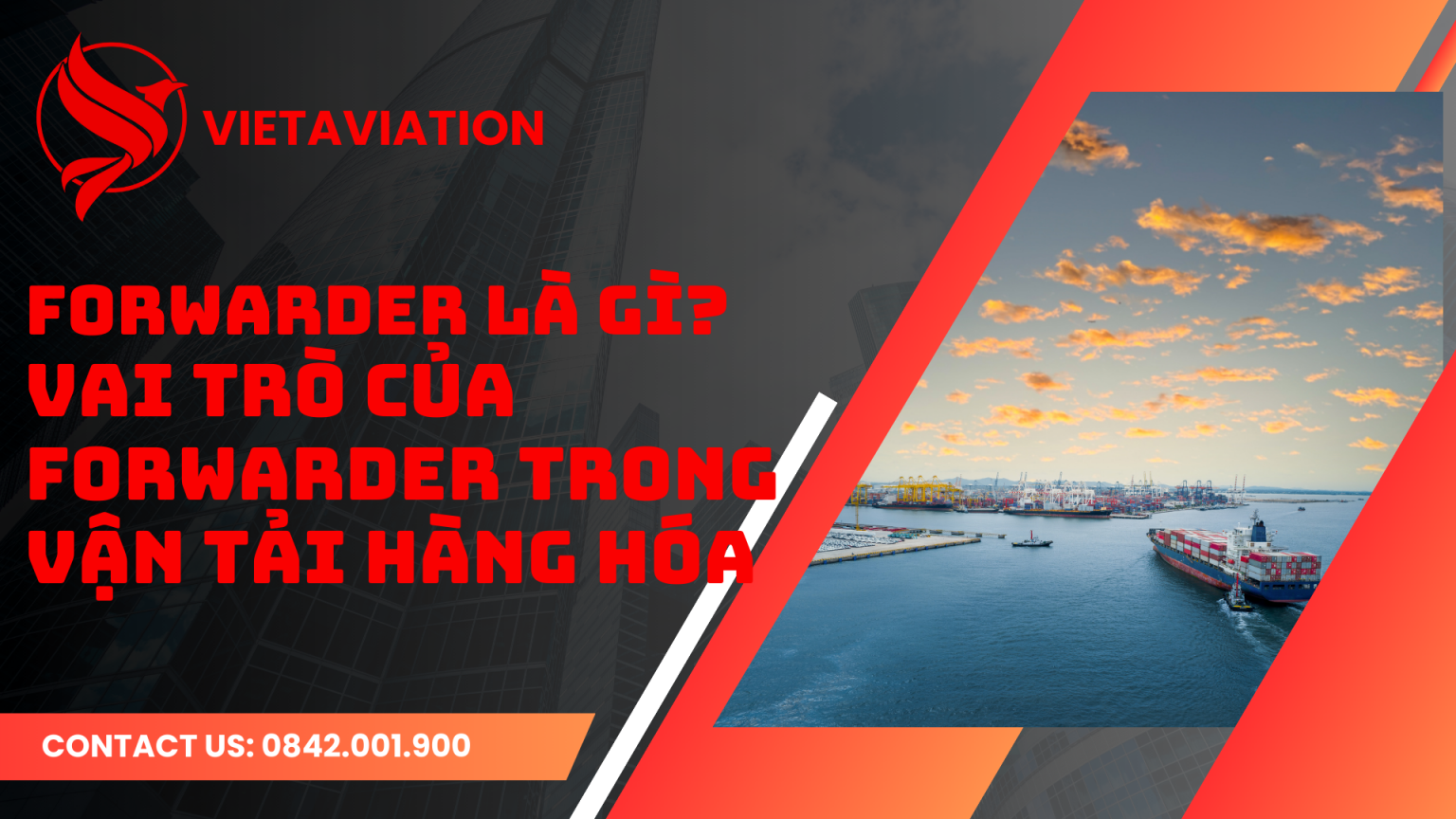Forwarder là gì? và vai trò của forwarder trong vận tải hàng hóa - VẬN TẢI HẬU CẦN HÀNG KHÔNG VIỆT